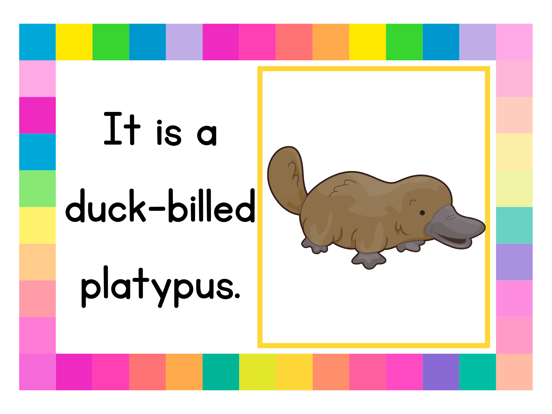 Alphabet Literacy Pack Teaching Resources