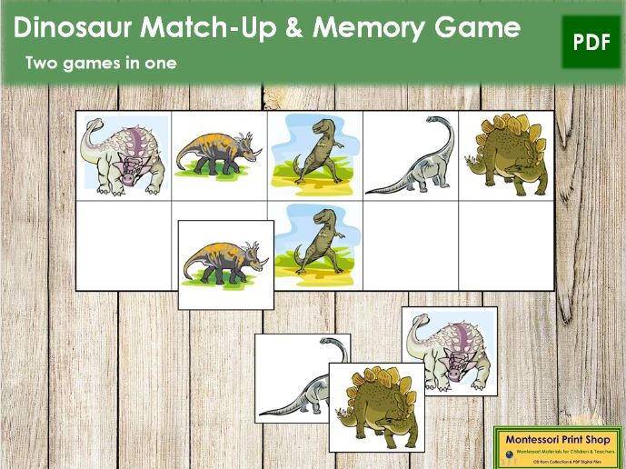 Dinosaur Match-Up and Memory Game (Visual Discrimination & Recall ...