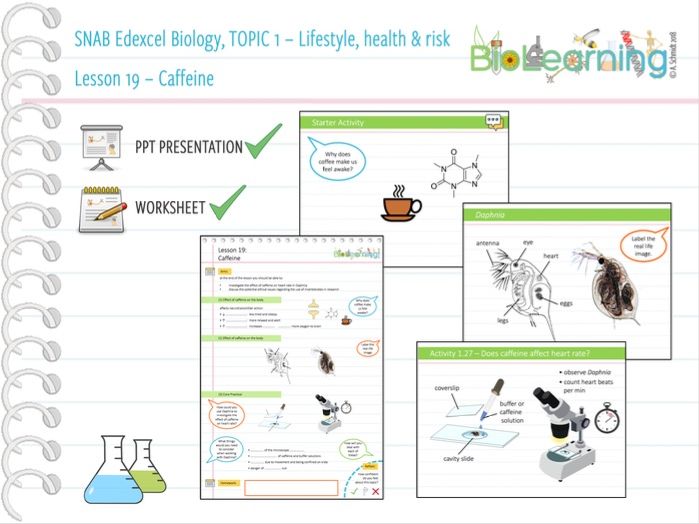 SNAB Biology Topic 1 - Bundle (4) - 5x Lessons + activities | Teaching ...