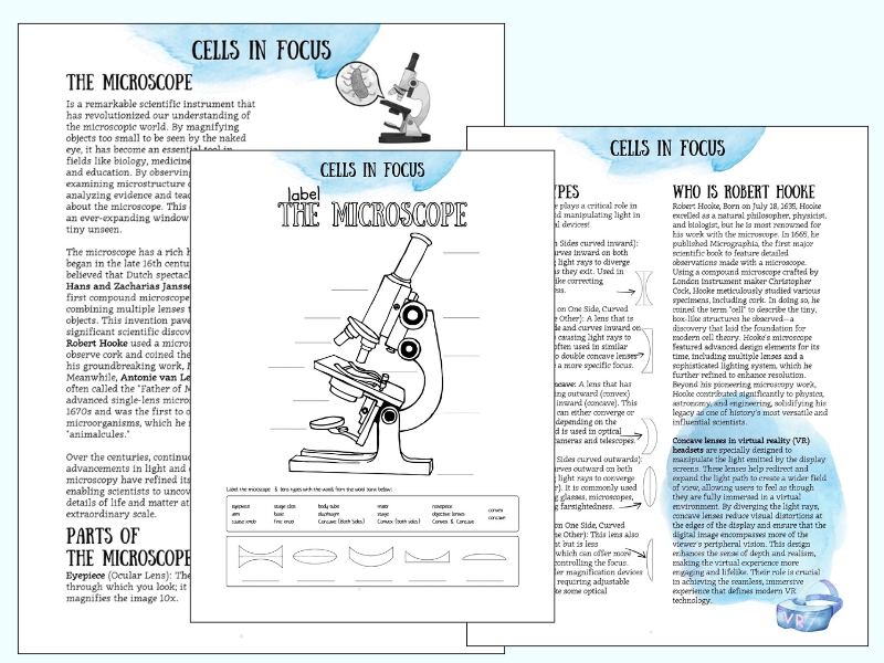 grade 9 - 12 Biology, the Microscope lesson, full thematic unit ...