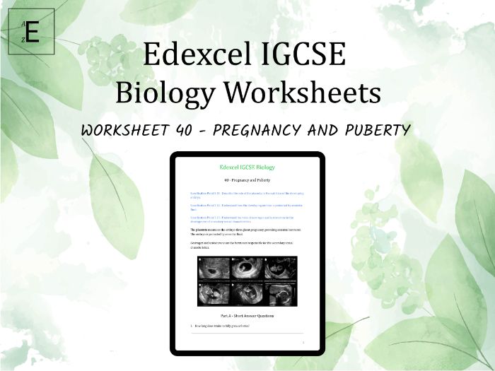 Edexcel IGCSE Biology Worksheet 40 Pregnancy And Puberty Teaching 