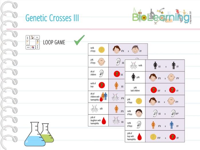Genetic Crosses III - Loop Game (KS4/KS5) | Teaching Resources