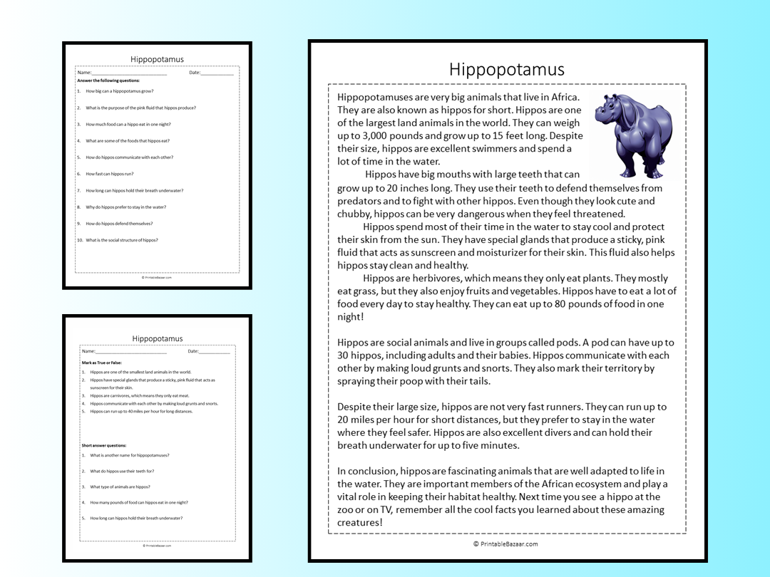 Hippopotamus Reading Comprehension Passage Printable Worksheet ...